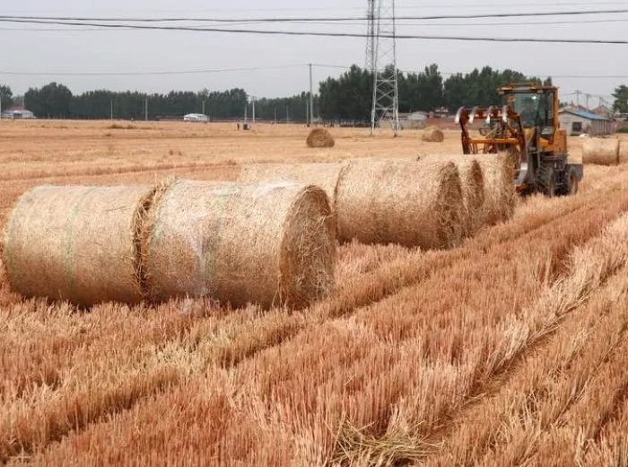 rice straw pulp machine